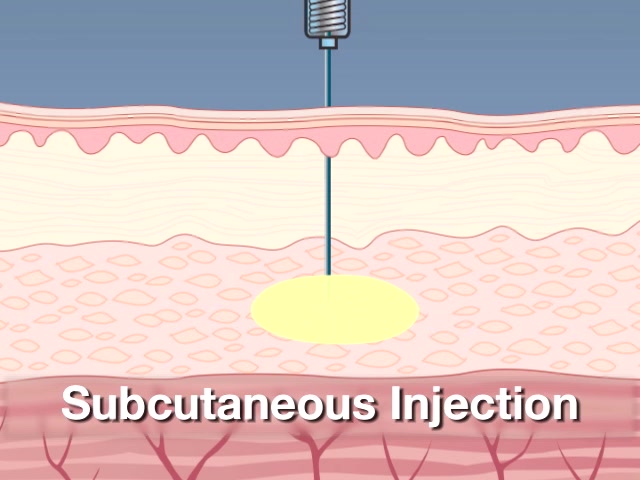 William Paterson University Enterprise Video Platform